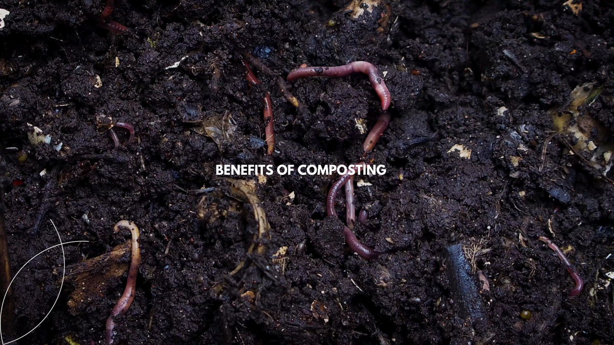 Why Composting is Good for Your Garden and the Earth – COPAR