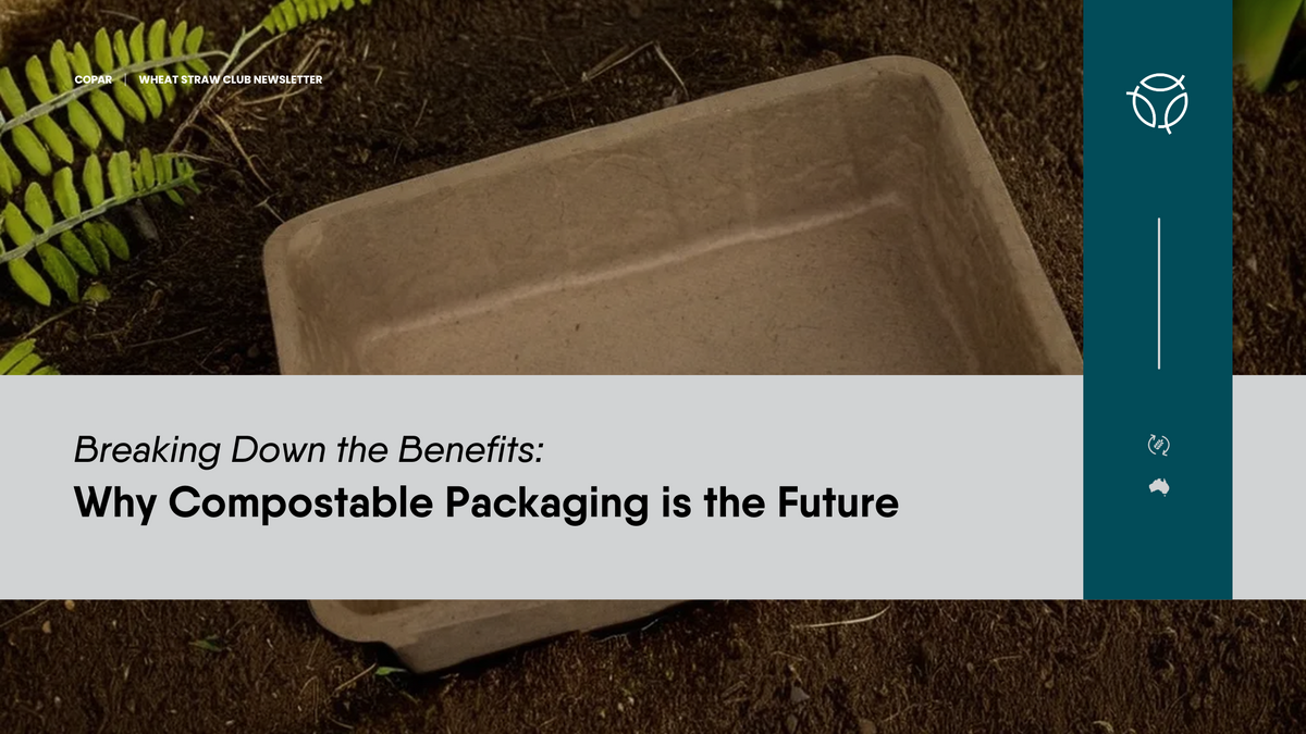 Why Compostable Packaging is the Future – COPAR