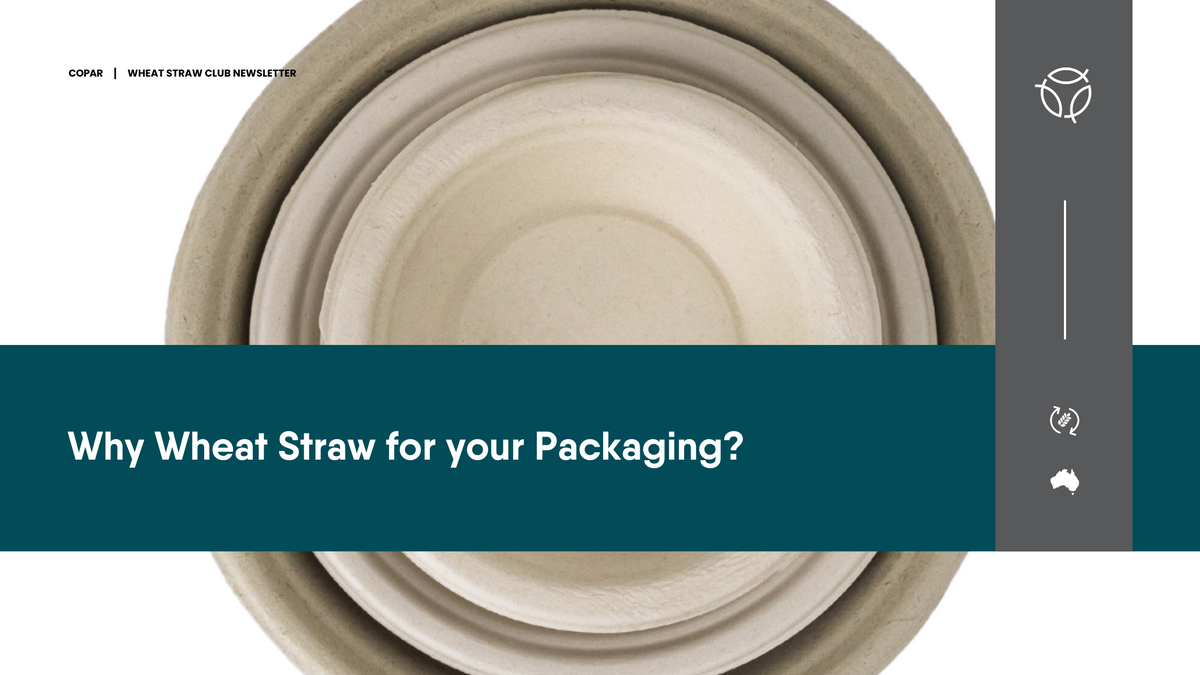 Why Switch to Wheat Straw Packaging for your Business? – COPAR